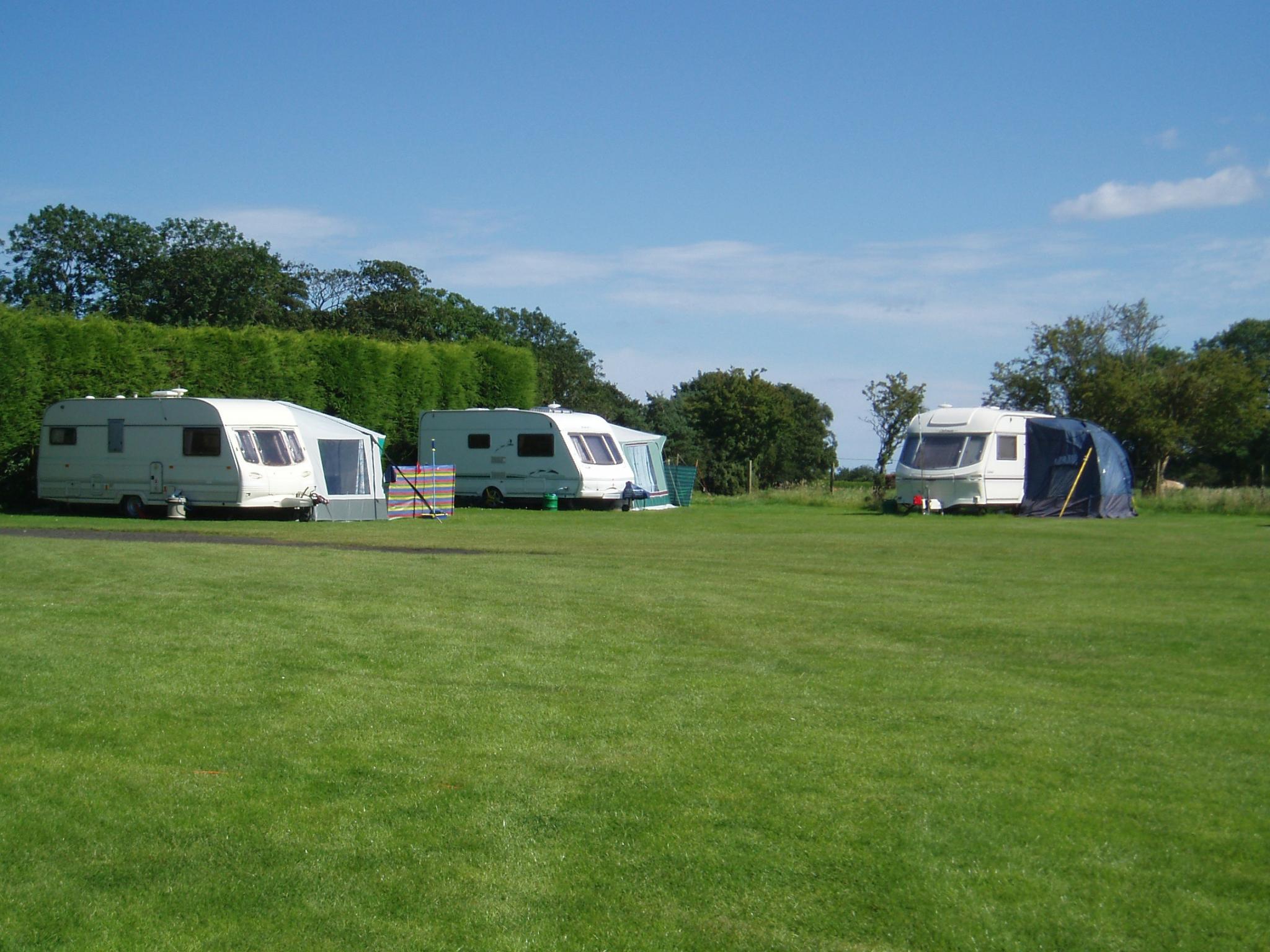 Proctors Stead Caravan Park - Camping Places