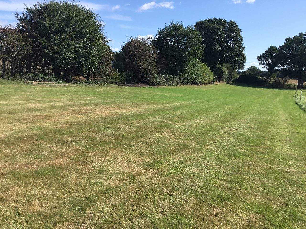 Prospect Farm Caravan and Campsite - Camping Places